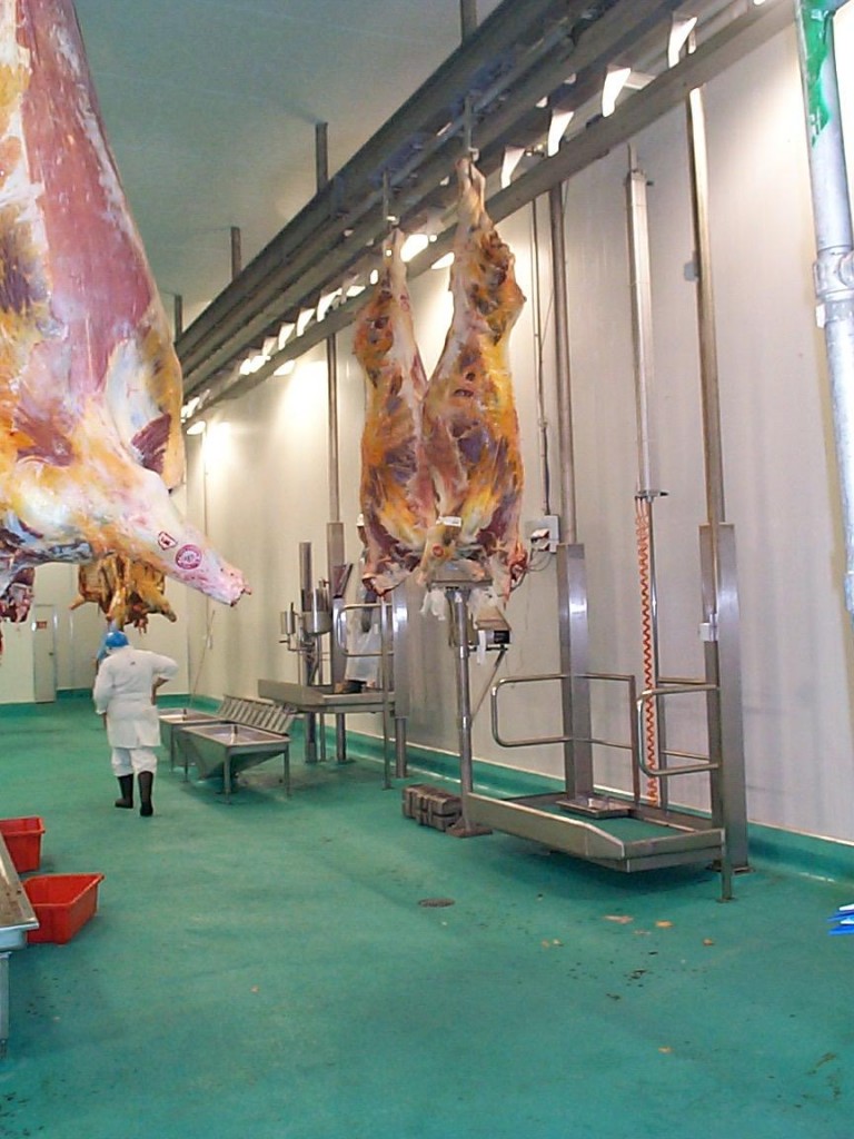 Abattoir Conveyor Systems – Precision Stainless Systems