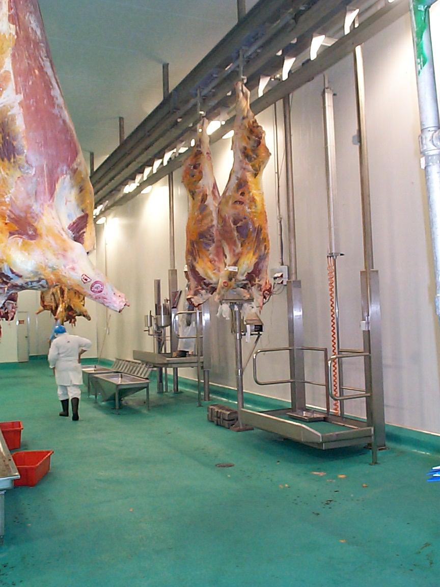 Abattoir Conveyor Systems – Precision Stainless Systems